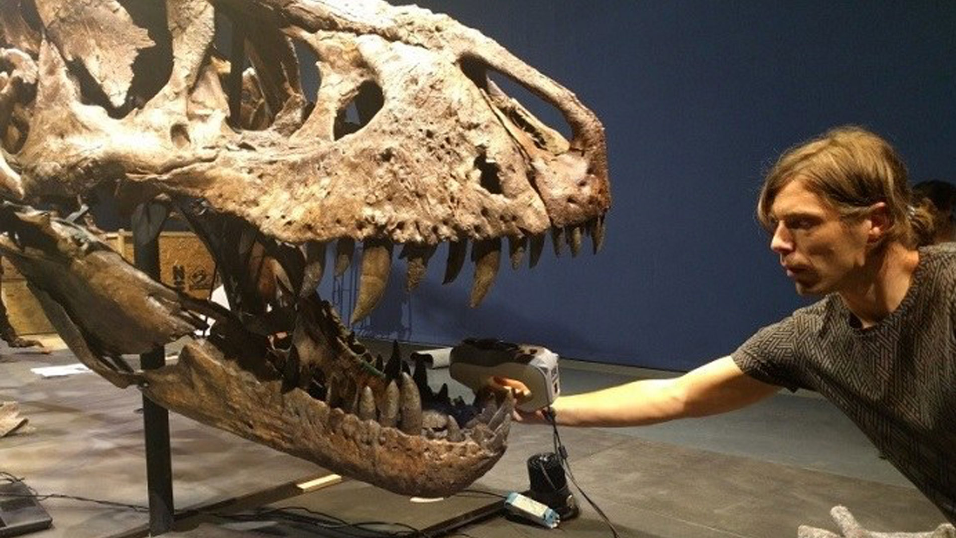 3D scanning a giant 66-million-year-old T-Rex skeleton | Artec 3D ...