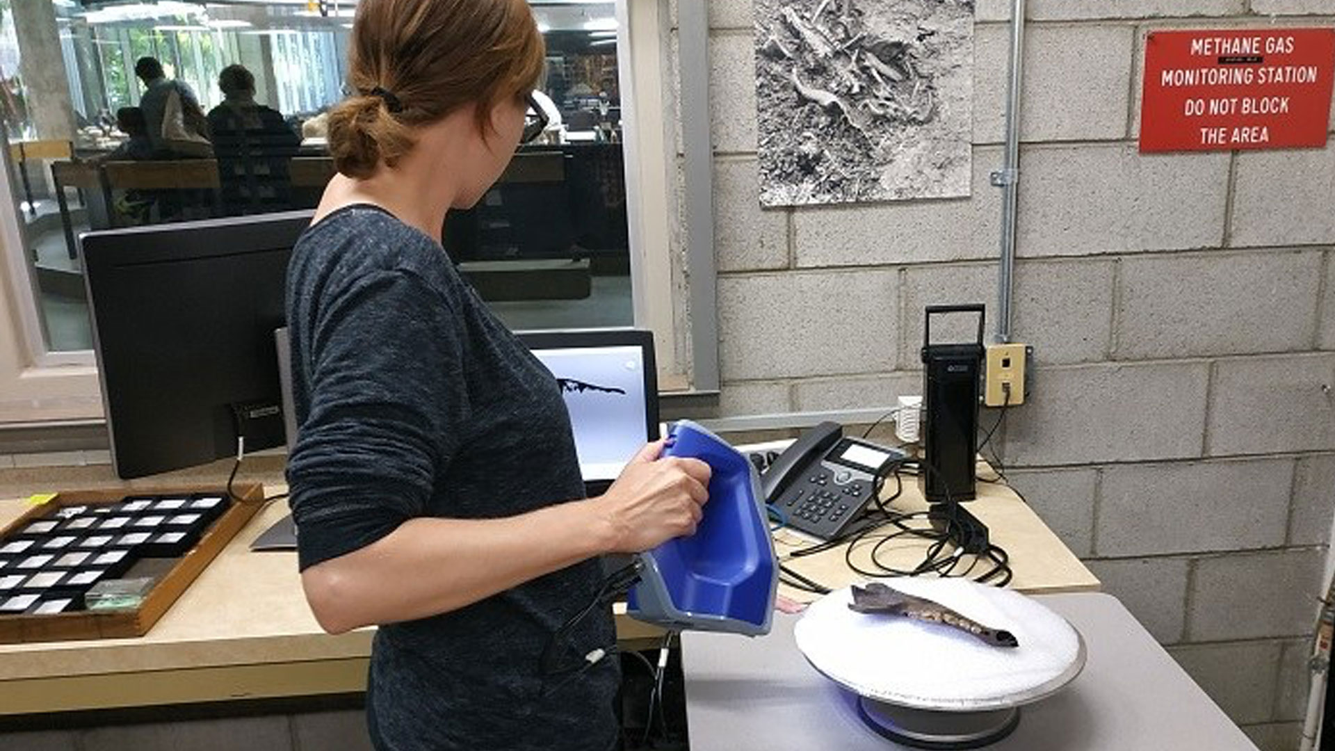 3D scanning at La Brea Tar Pits with Artec Space Spider | Artec 3D ...