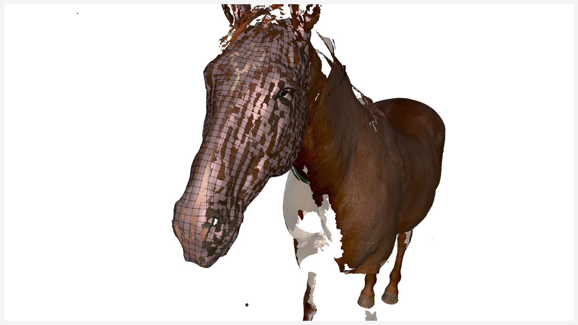 Digitizing ‘Buddy’ the horse with Artec Leo so riders can stride with | Artec 3D Scanners ...