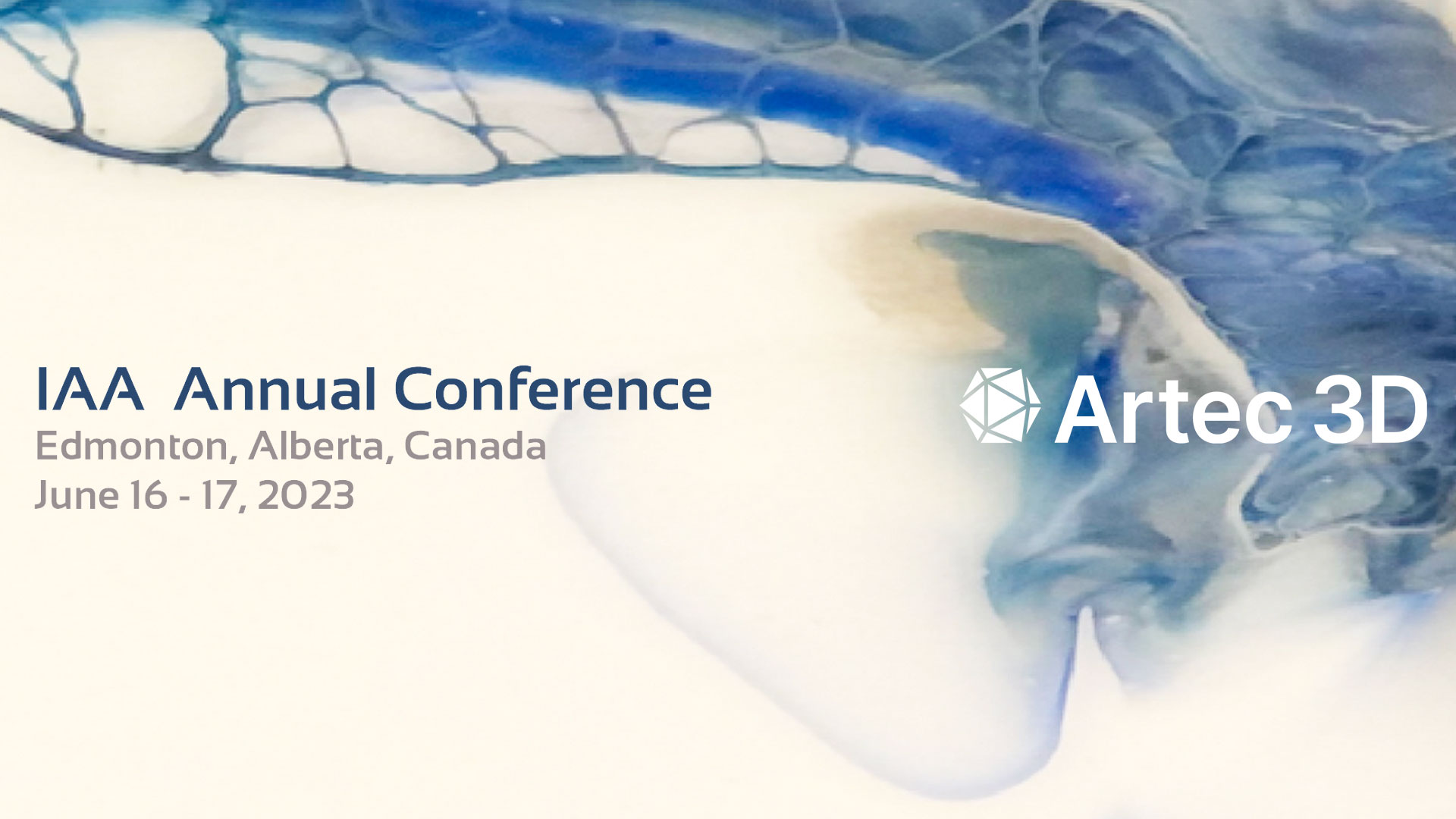 第36届IAA年会：让开云体育手机版登入 改变整形假体领域的“面貌” | Artec3D 活动