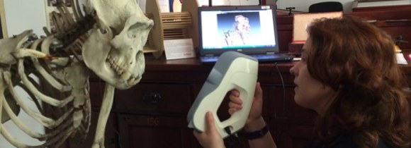 Anatomical 3D visualization: Scanning bones to reconstruct the ...