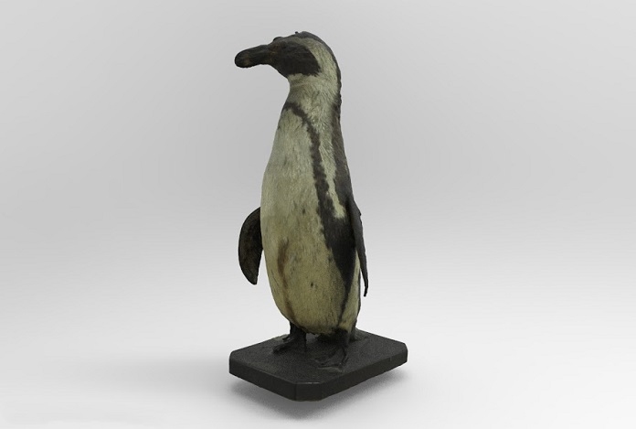 Threeding.com and Artec 3D Collaborate to Digitize More Than 55 ...