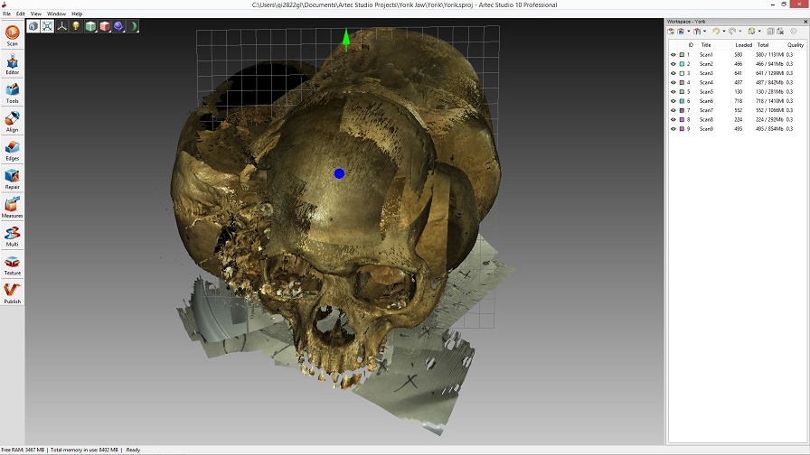 Interactive skull museum: A fun take on studying fossils | Artec 3D ...