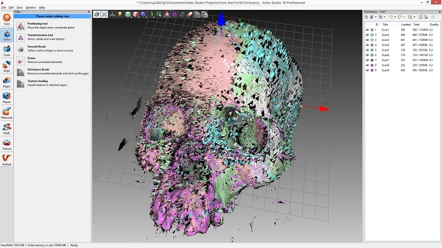 Interactive skull museum: A fun take on studying fossils | Artec 3D ...